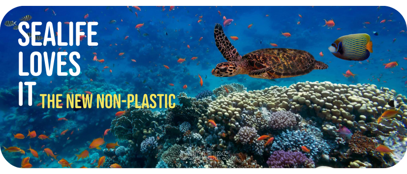 Protecting Our Seas: Combating Plastic with Cyclups’ PLQ Applications