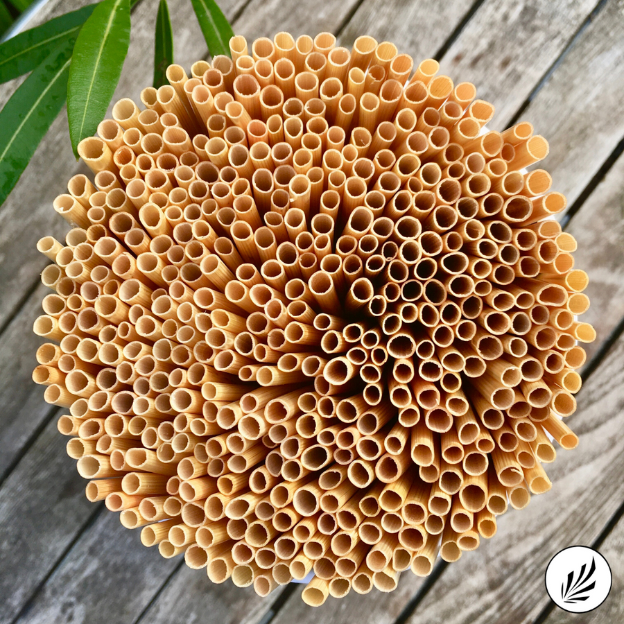 Wheat Straws: What is it and what benefits does it have?