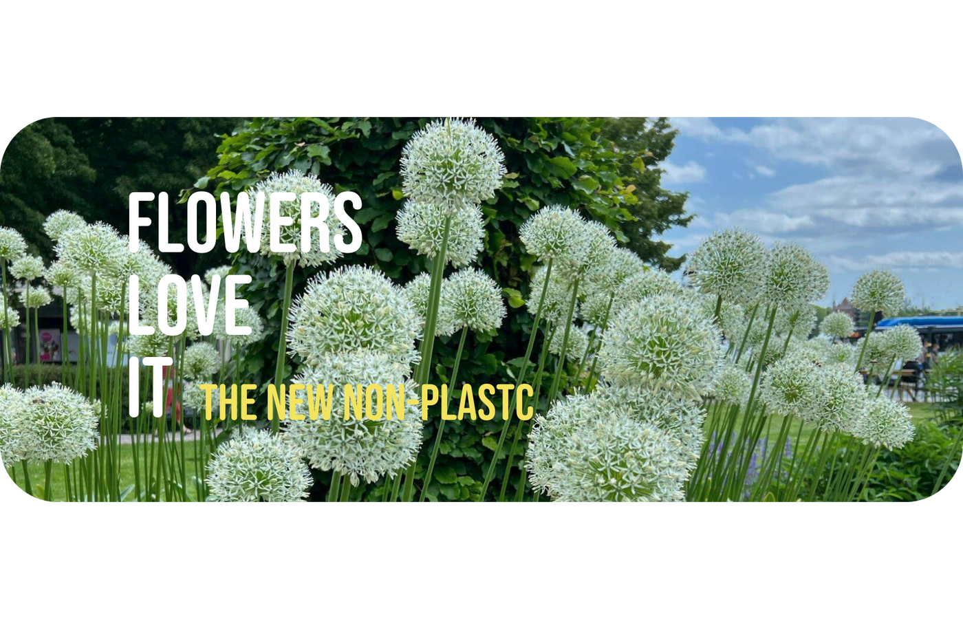 Capturing the Essence of Spring: A Visual Celebration of Nature's Rene